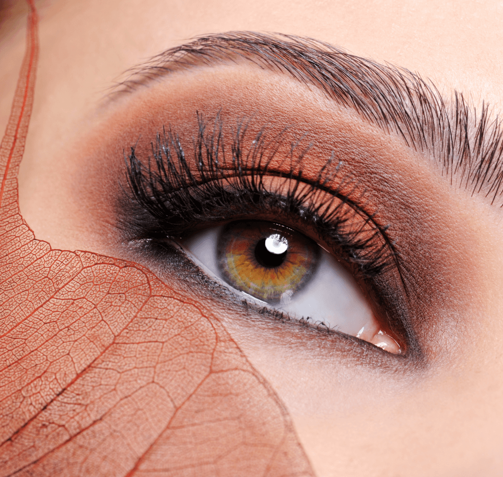 Lifestyle Salon – British Cosmetics